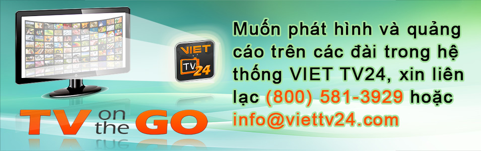 Viet TV24